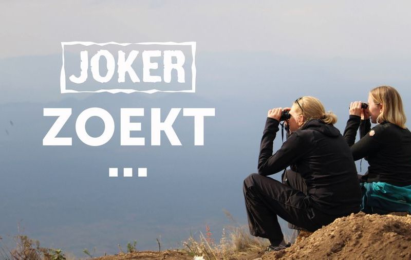 Maak van reizen je job | Joker