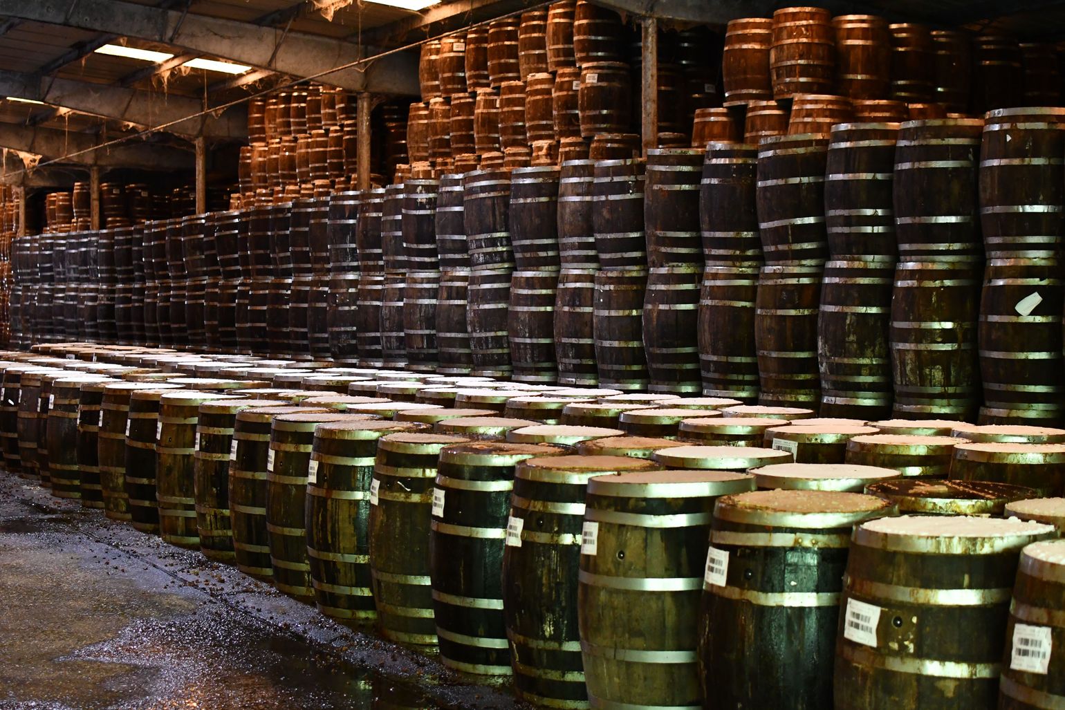 Een heet bezoek aan de Tabasco Factory op Avery Island | Joker